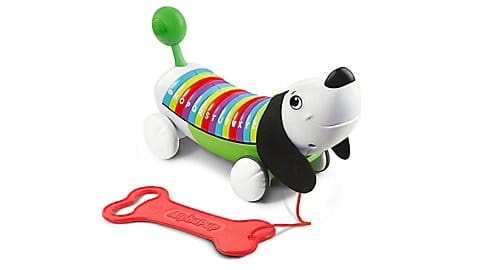 Alpha Pup - LeapFrog Singapore